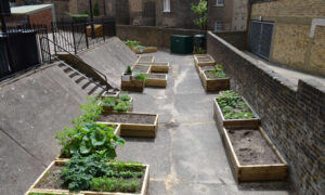 Millbank Prison, A Quick History Of London’s First Modern Prison